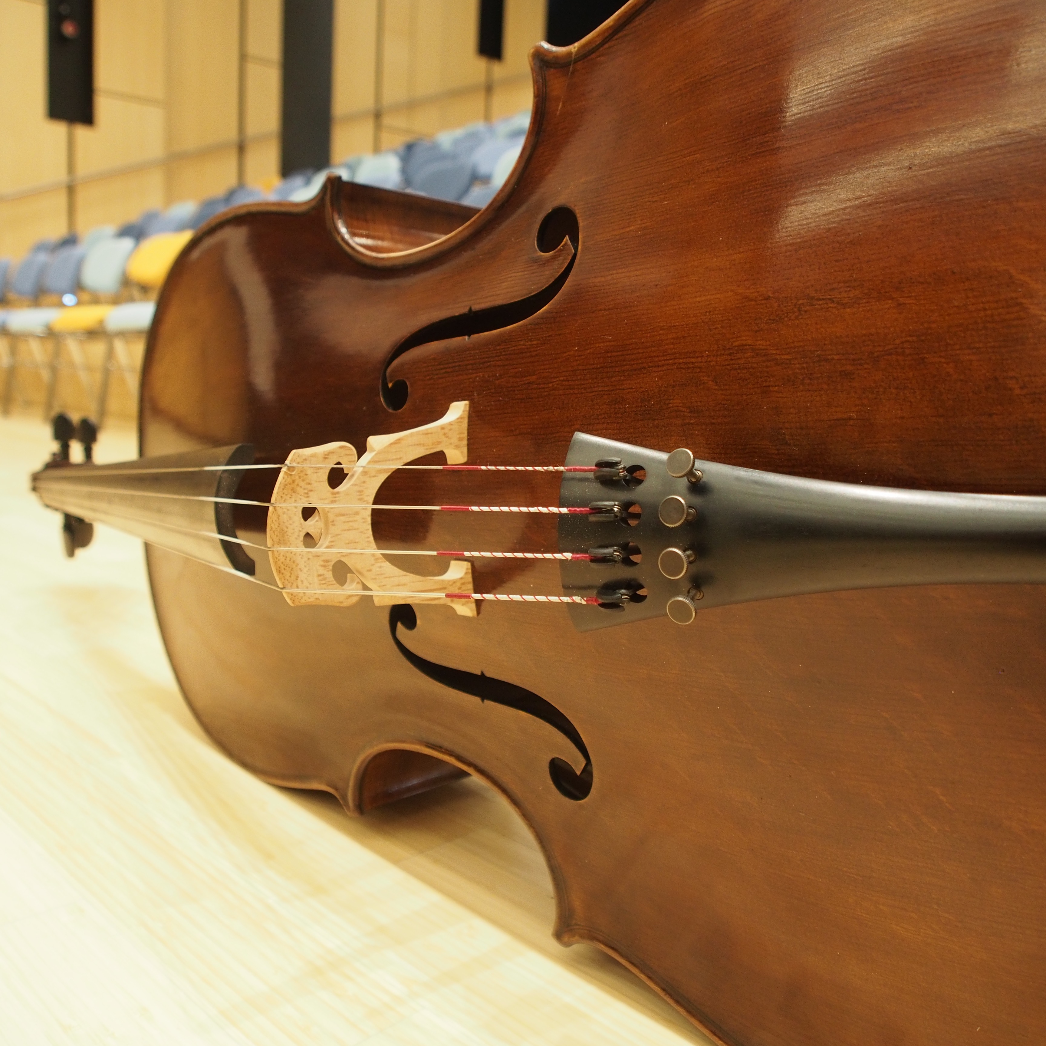Violoncello - FILUM Musikschule Filderstadt